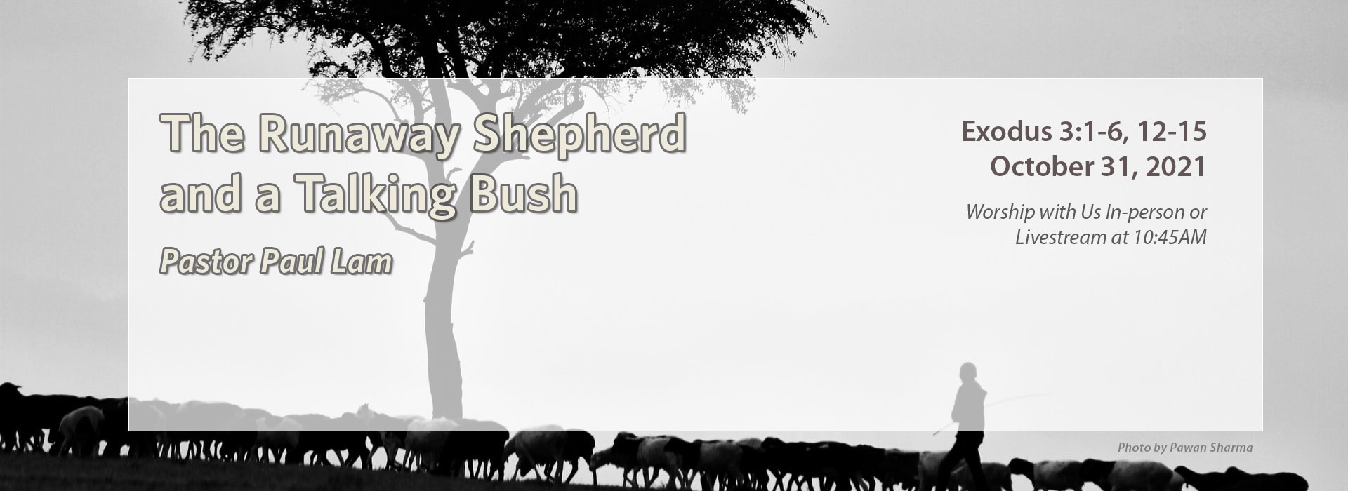 The Runaway Shepherd and a Talking Bush – Fujian Evangelical Church
