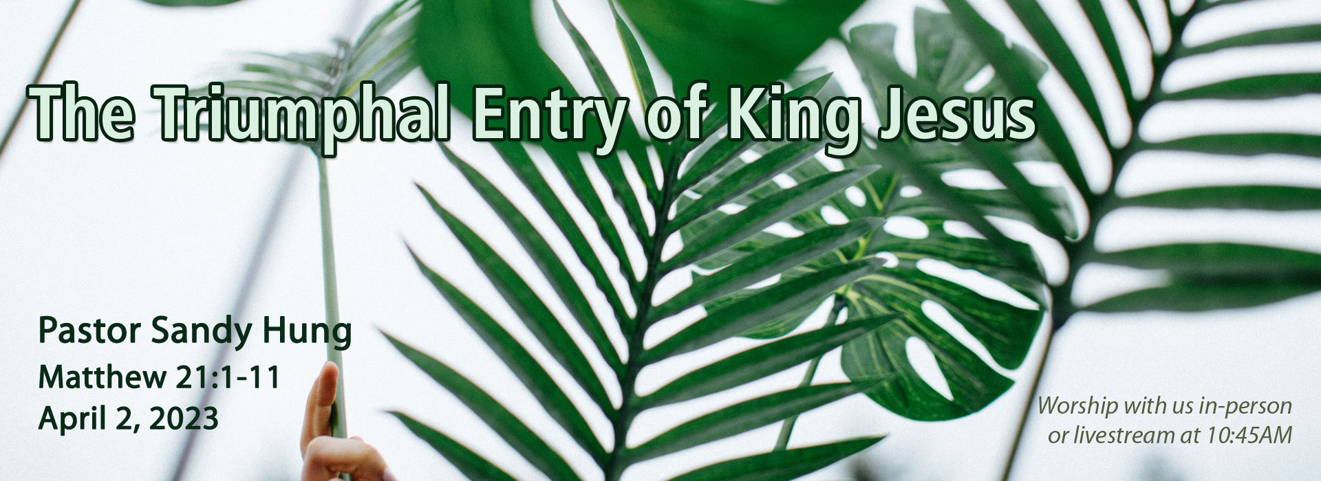 The Triumphal Entry of King Jesus – Fujian Evangelical Church